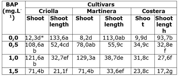 Micropropagation of Gynerium sagitatum Aubl. cvs “criolla, “costera” and“martinera”