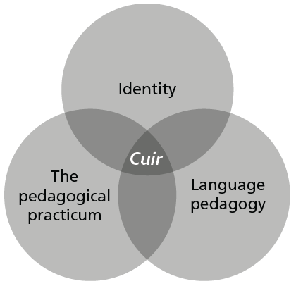 An EFL Student-Teacher’s Cuir Identity: Narratives From a Pedagogical Practicum Experience