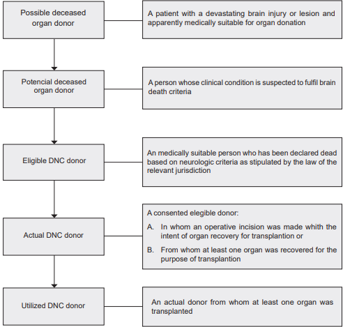 Critical pathway for deceased donors: An analysis in three regions of Colombia