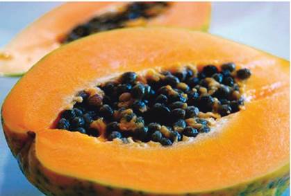 Development Of A New Colombian Product Effective For The Treatment Of