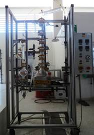 Mathematical Analysis of Discontinuous Rectification Columns at Pilot Scale Based on the ...